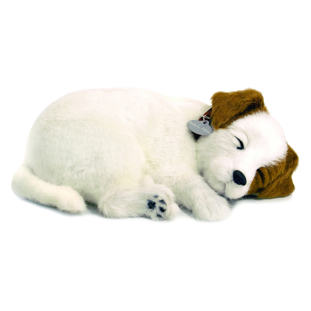 Perfect Petzzz Jack Russell Bundle - Memory Matters NZ