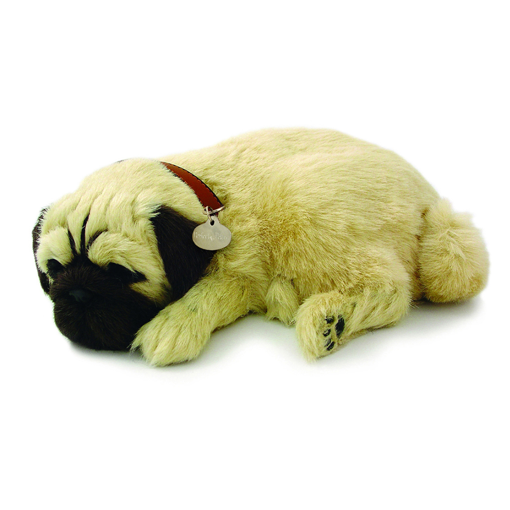 Perfect Petzzz Pug Bundle - Memory Matters NZ