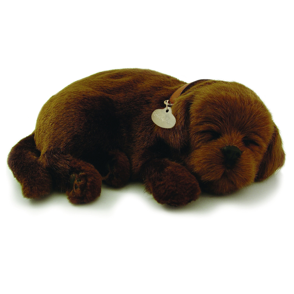 Perfect Petzzz Chocolate Lab Bundle - Memory Matters NZ