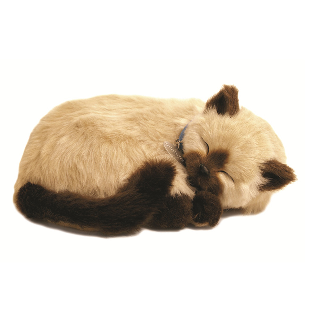 Perfect Petzzz Tan Siamese Cat Bundle - Memory Matters NZ